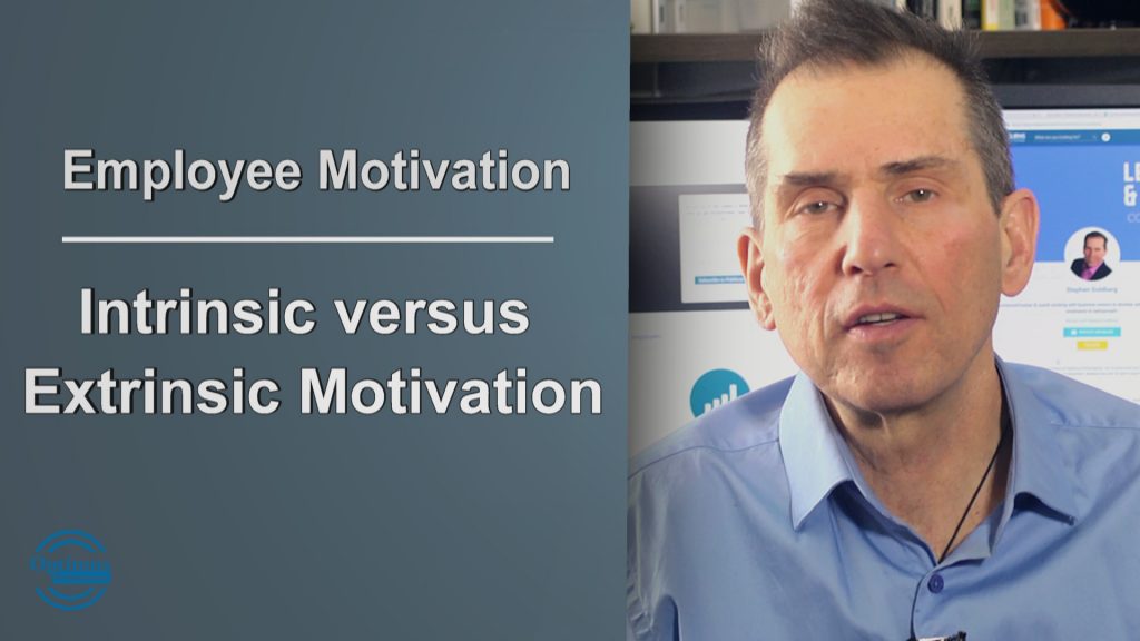 Understanding and Applying Intrinsic and Extrinsic Employee Motivation ...
